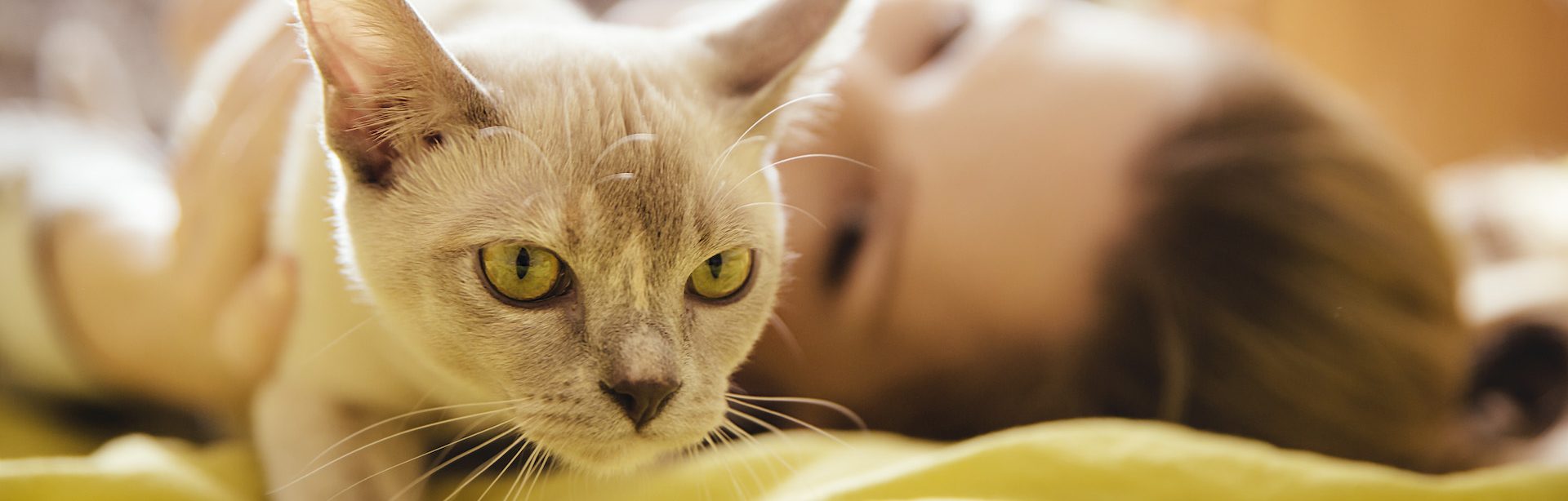 Boarding Reservation Form - Hefner Road Pet Resort